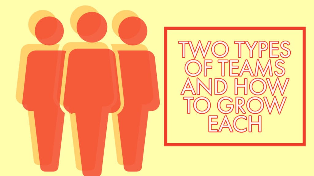 Two Team Types and How to Grow Each One - Bunnell Idea Group